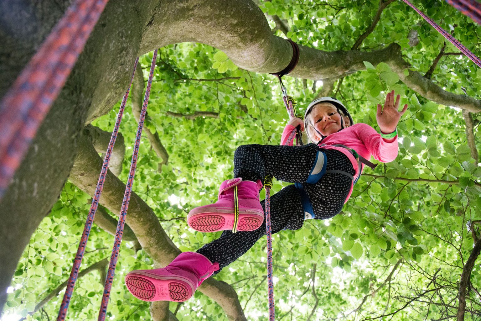 The Great Big Tree Climbing Company – The Great Big Tree Climbing Company